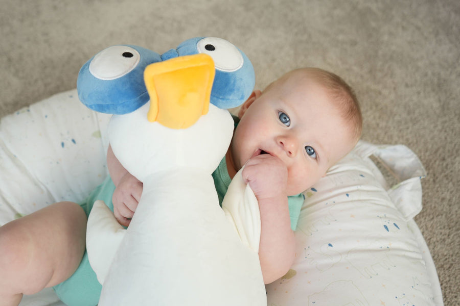 Goosewaddle® | Newborn Baby Blankets Toys Teethers Bibs & More